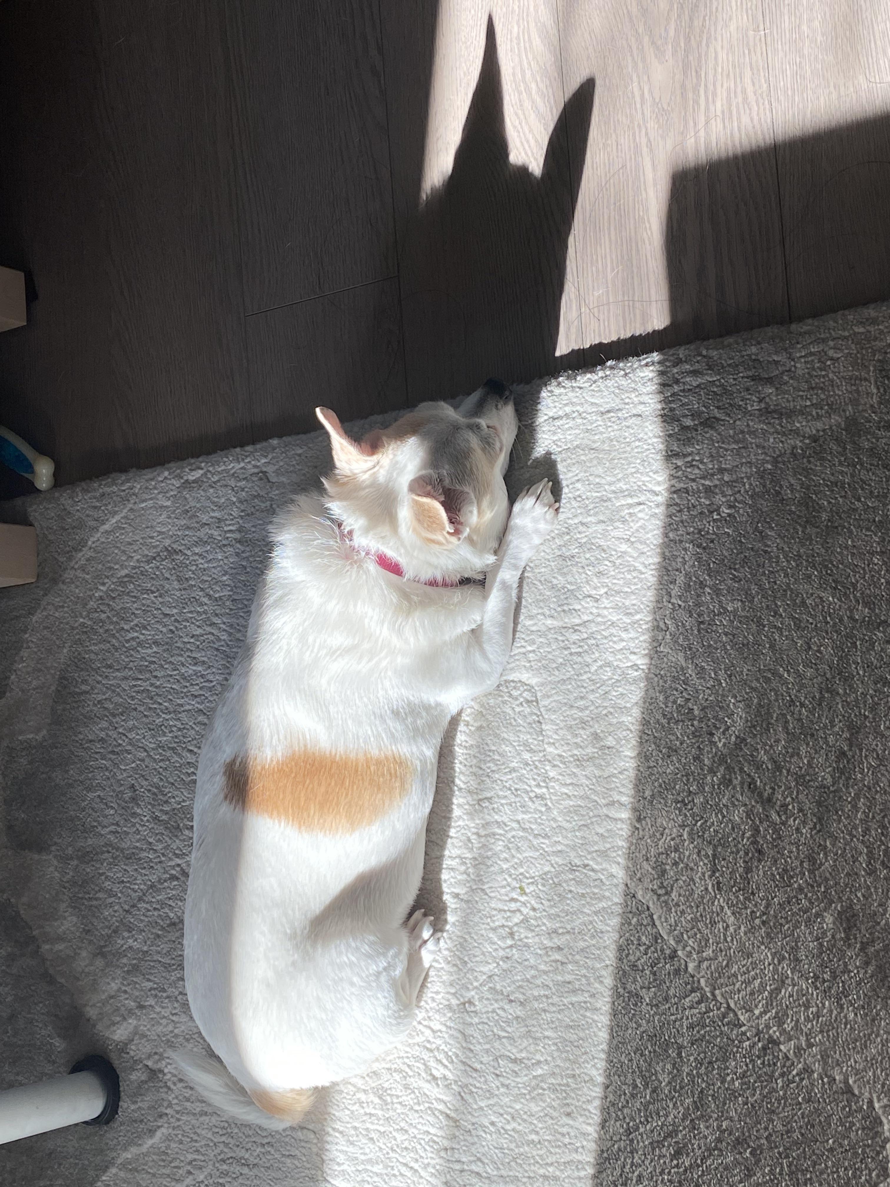 Baking in the sun loaf ☀️ 🍞 | Scrolller