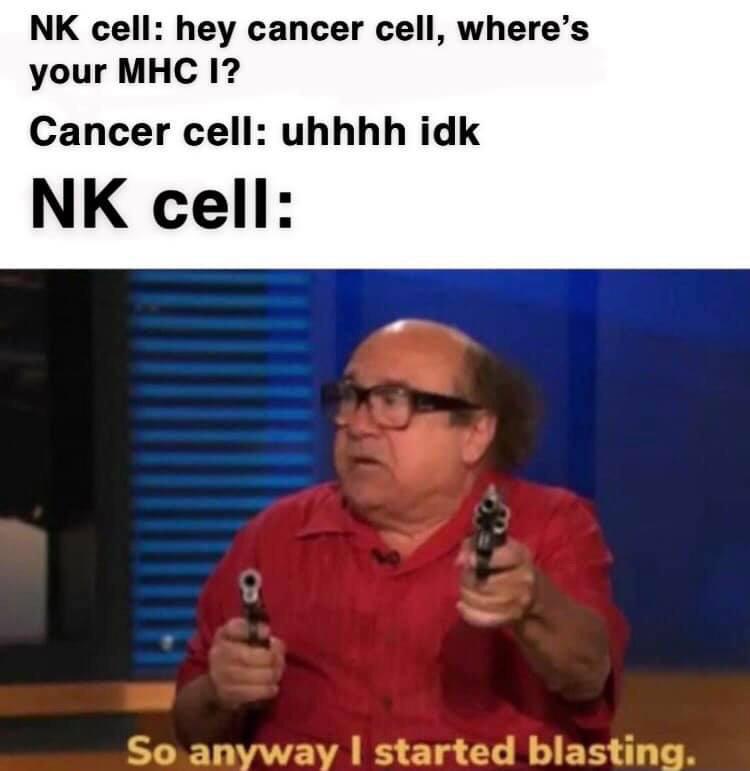 *bang bang* - Immune System | Scrolller