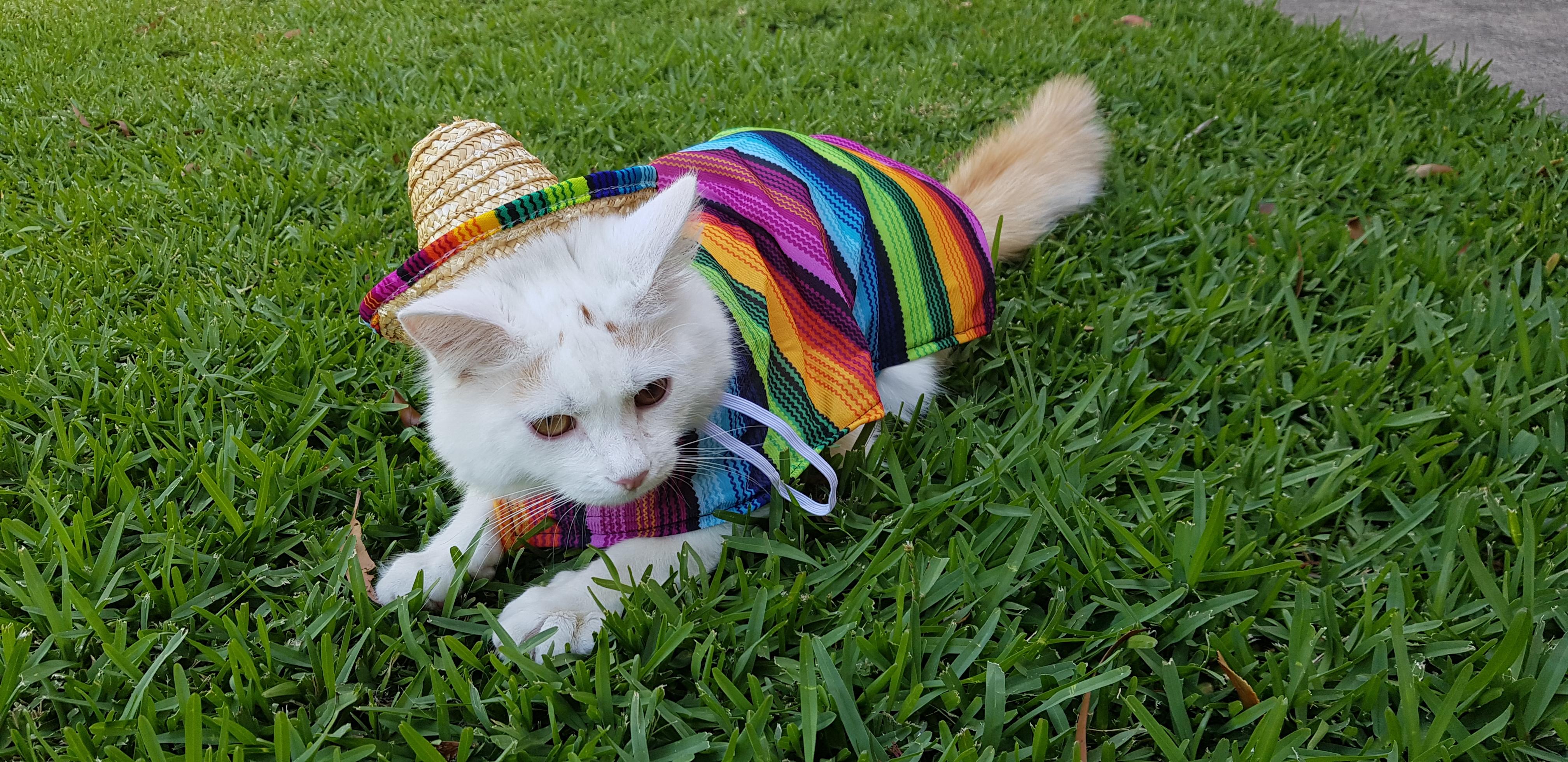 Barry was not a fan on his outfit | Scrolller