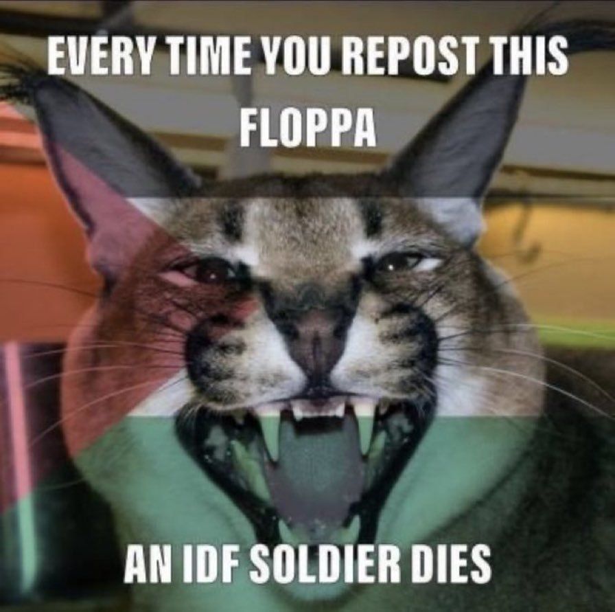 based rule | Scrolller