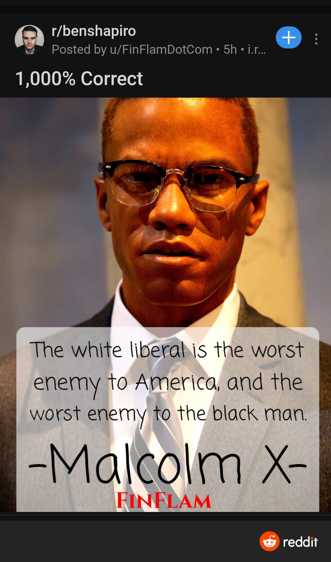 Based Shapiro | Scrolller