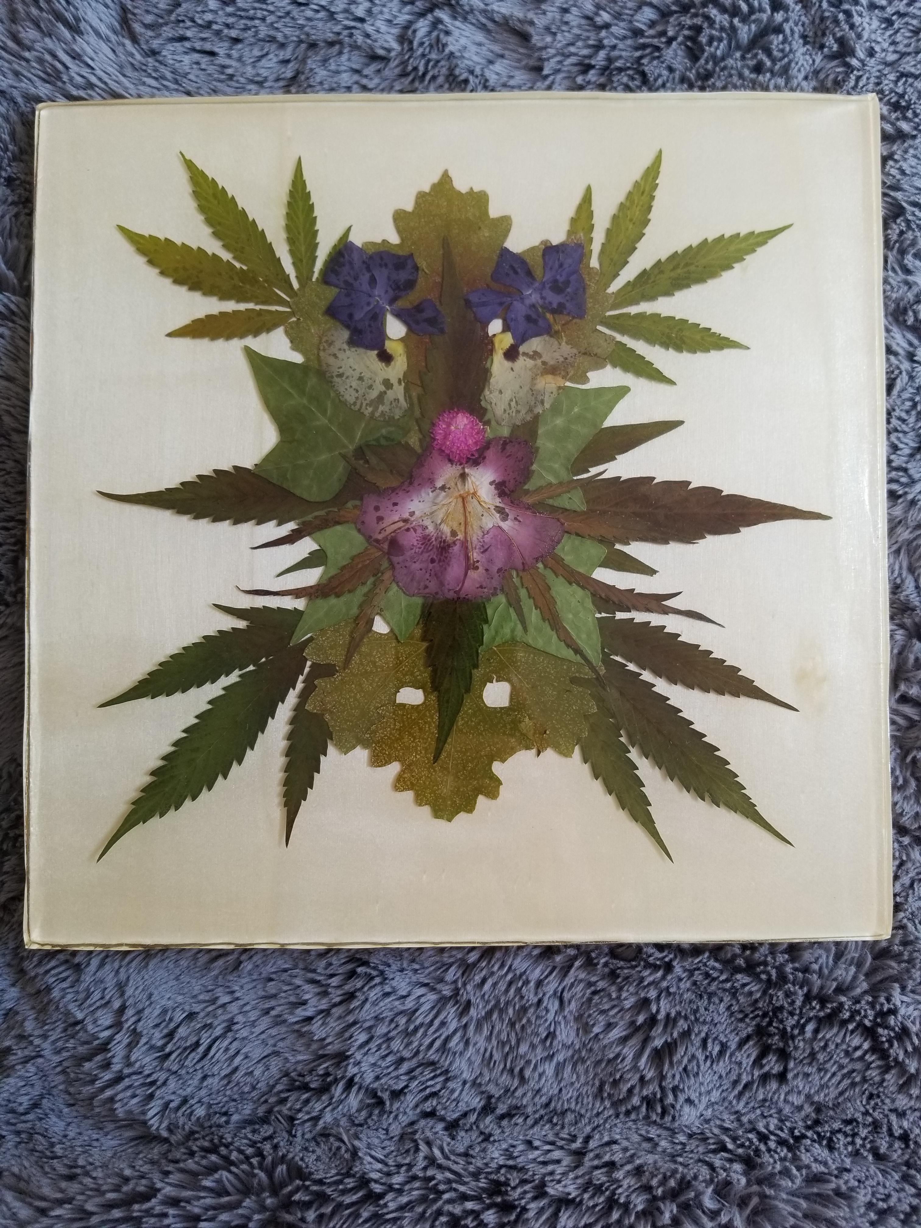 FOESAD5150, "Bashful", 4032×3024 | Scrolller