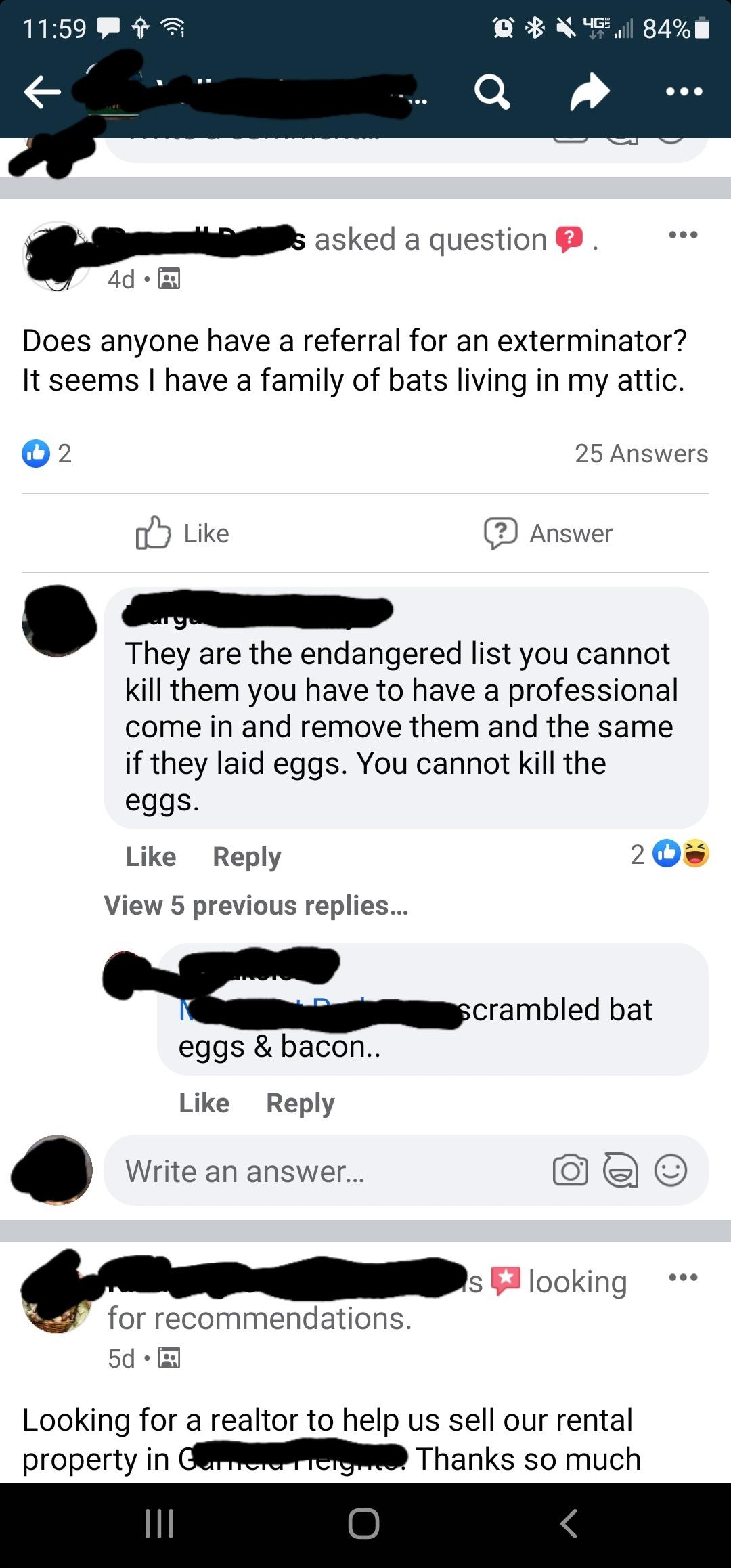 Bat...eggs? | Scrolller