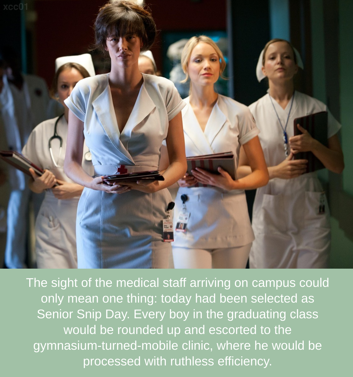 Batch castrations are just so much more efficient | Scrolller