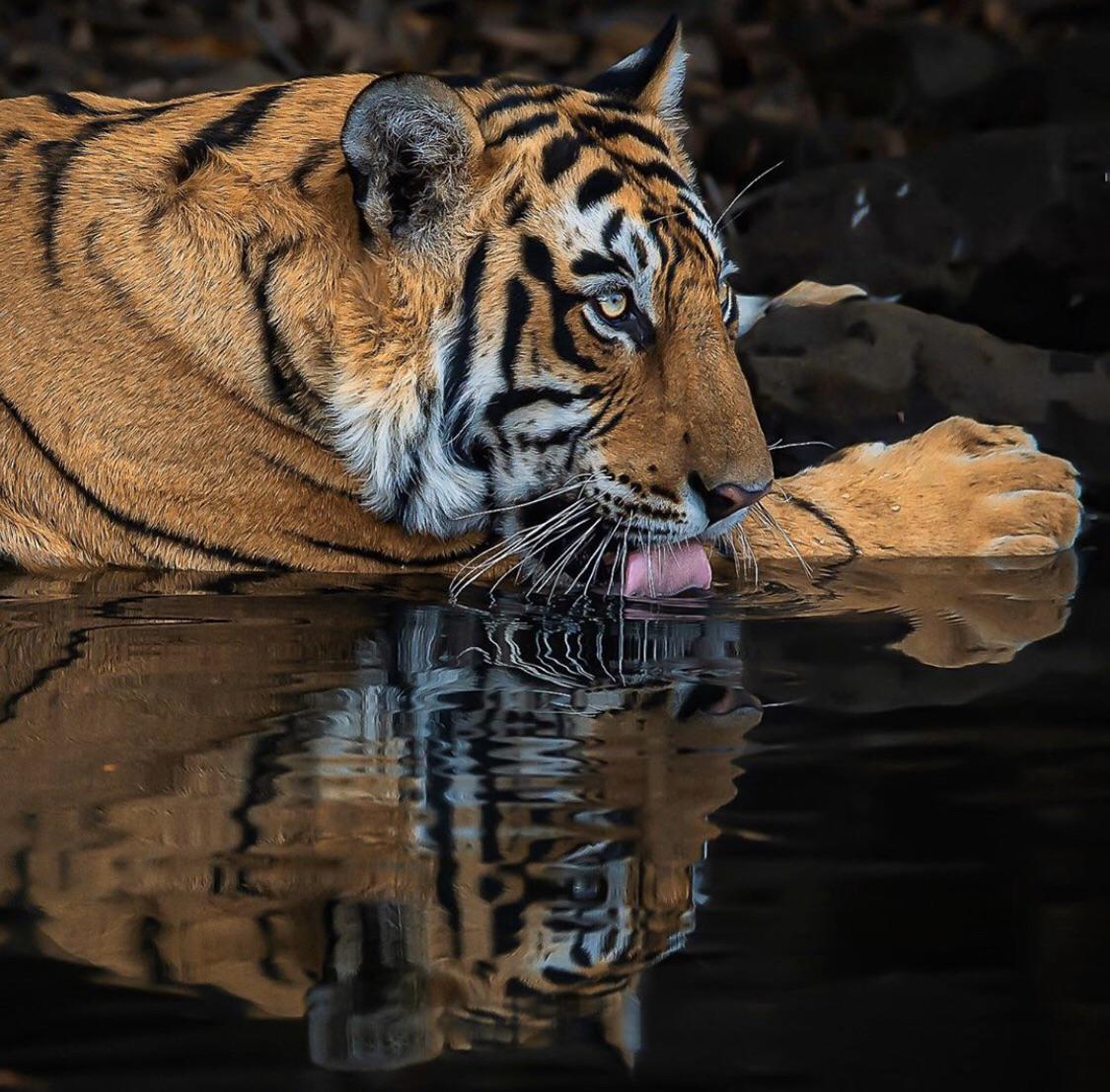 Bath Time | Scrolller