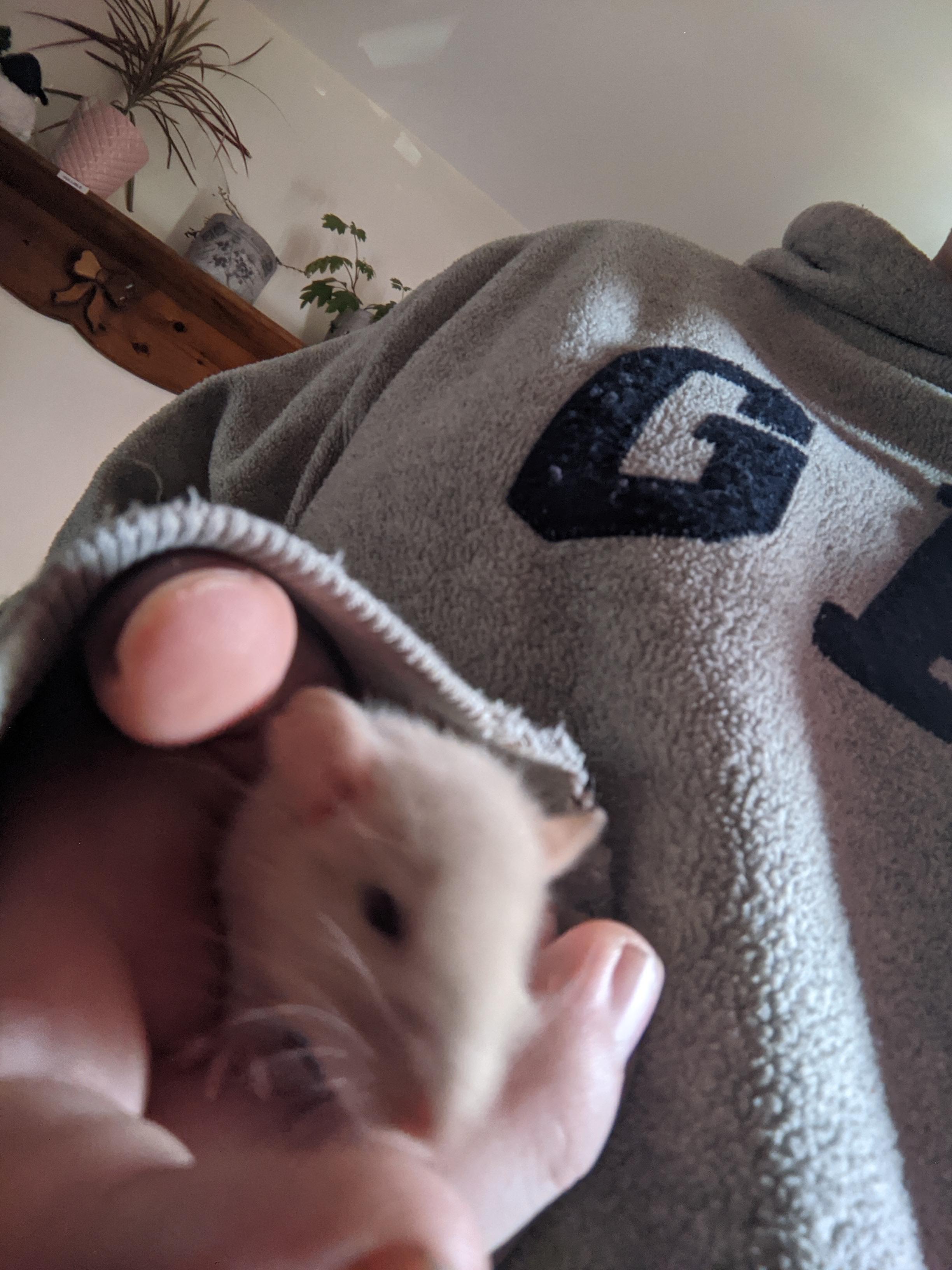 Bean says good morning! | Scrolller