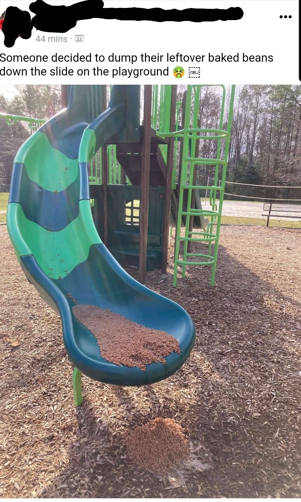 Beans in the neighborhood playground | Scrolller