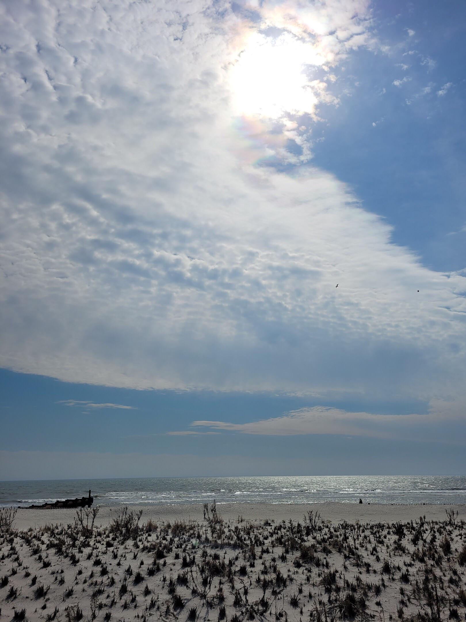 Beautiful day in Ocean City. | Scrolller