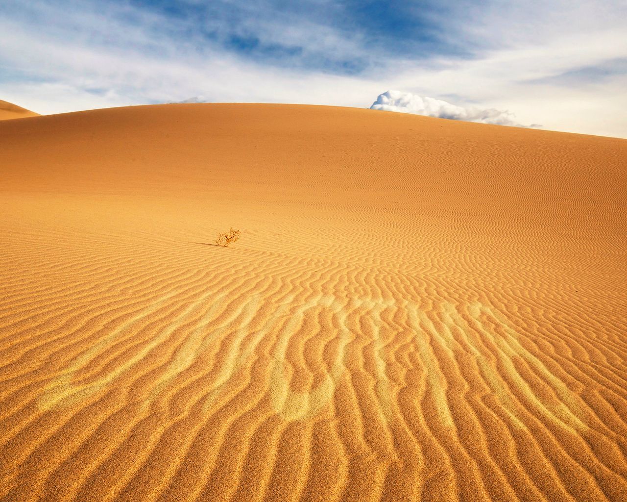 Beautiful desert landscape | Scrolller