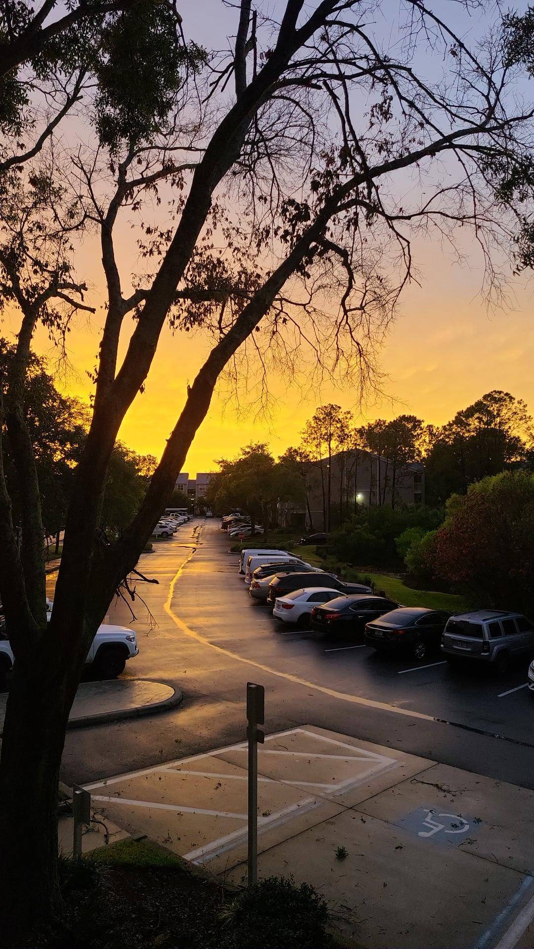 Beautiful evening!! | Scrolller