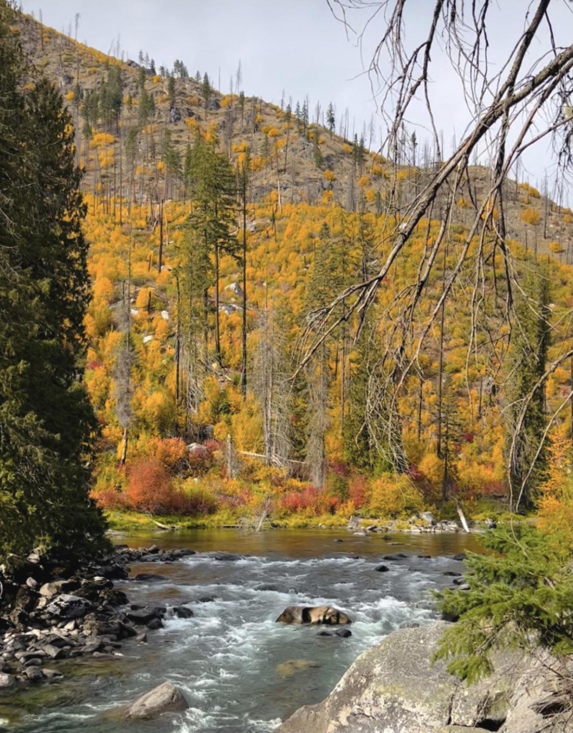 Beautiful fall foliage outside Leavenworth. | Scrolller