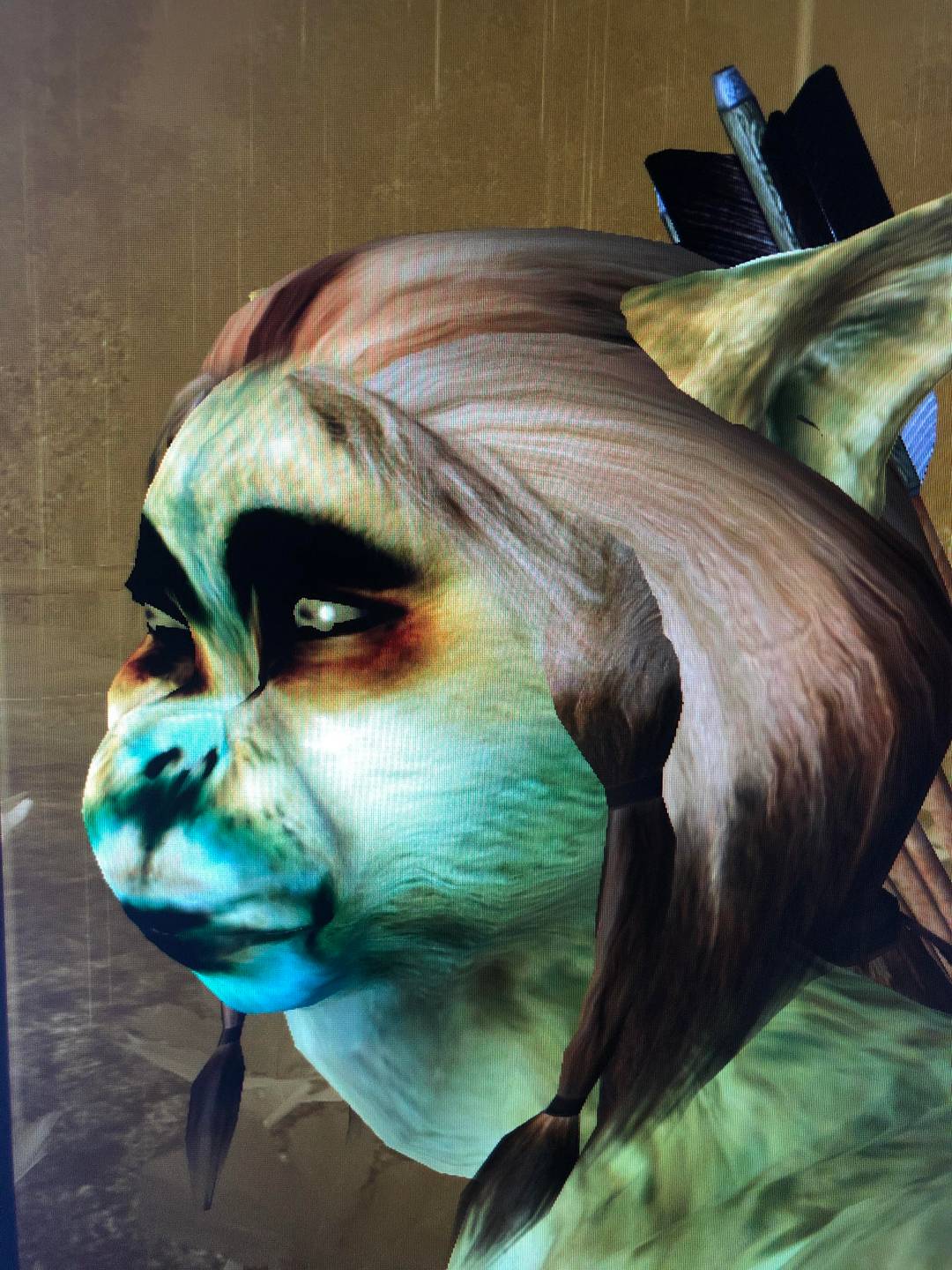 Beautiful Khajiit player model | Scrolller