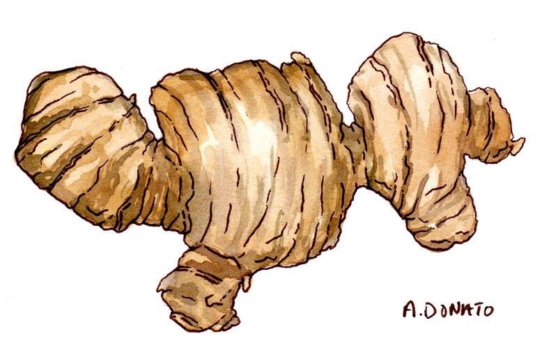 Beautiful portrait of curvy ginger | Scrolller