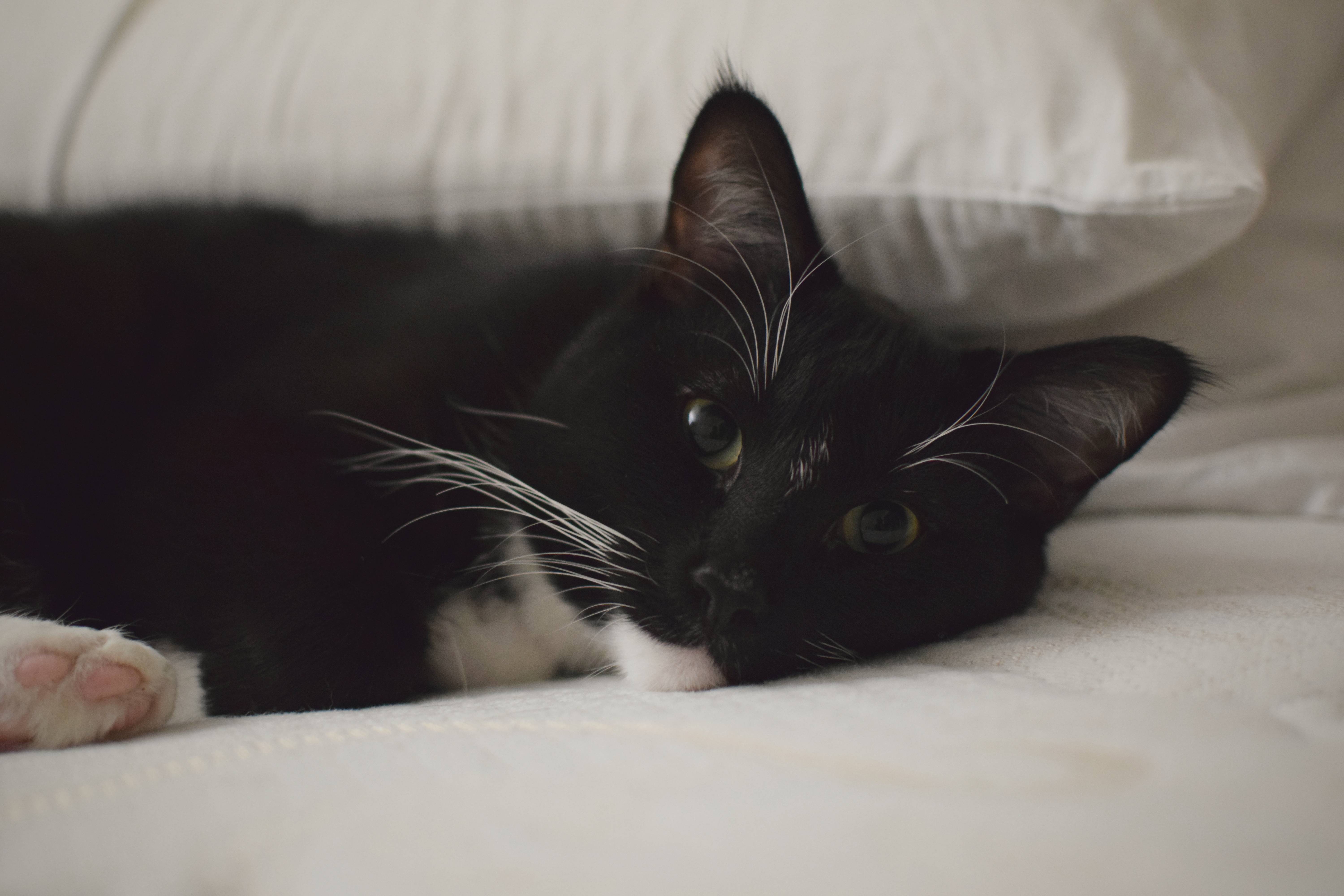 Beautiful Sleepy baby | Scrolller