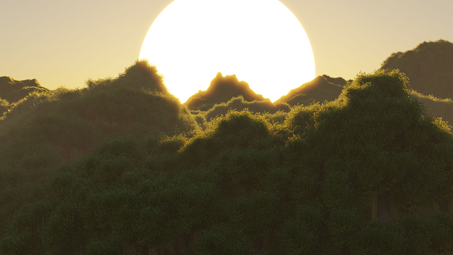 Beautiful Sunrise | Scrolller