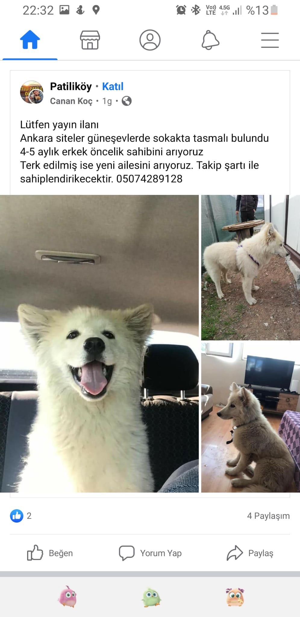 Buradaysan ses ver | Scrolller