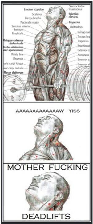 Because we could all use a little humour | Scrolller