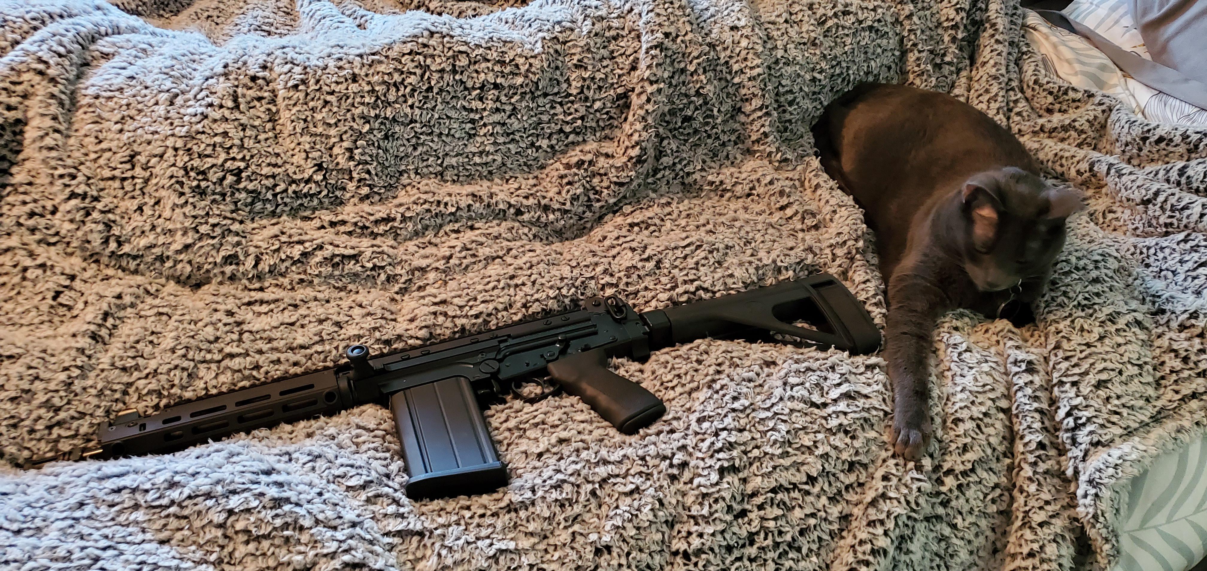 Bedside warrior kitty Ft. SA58 11" OSW. | Scrolller