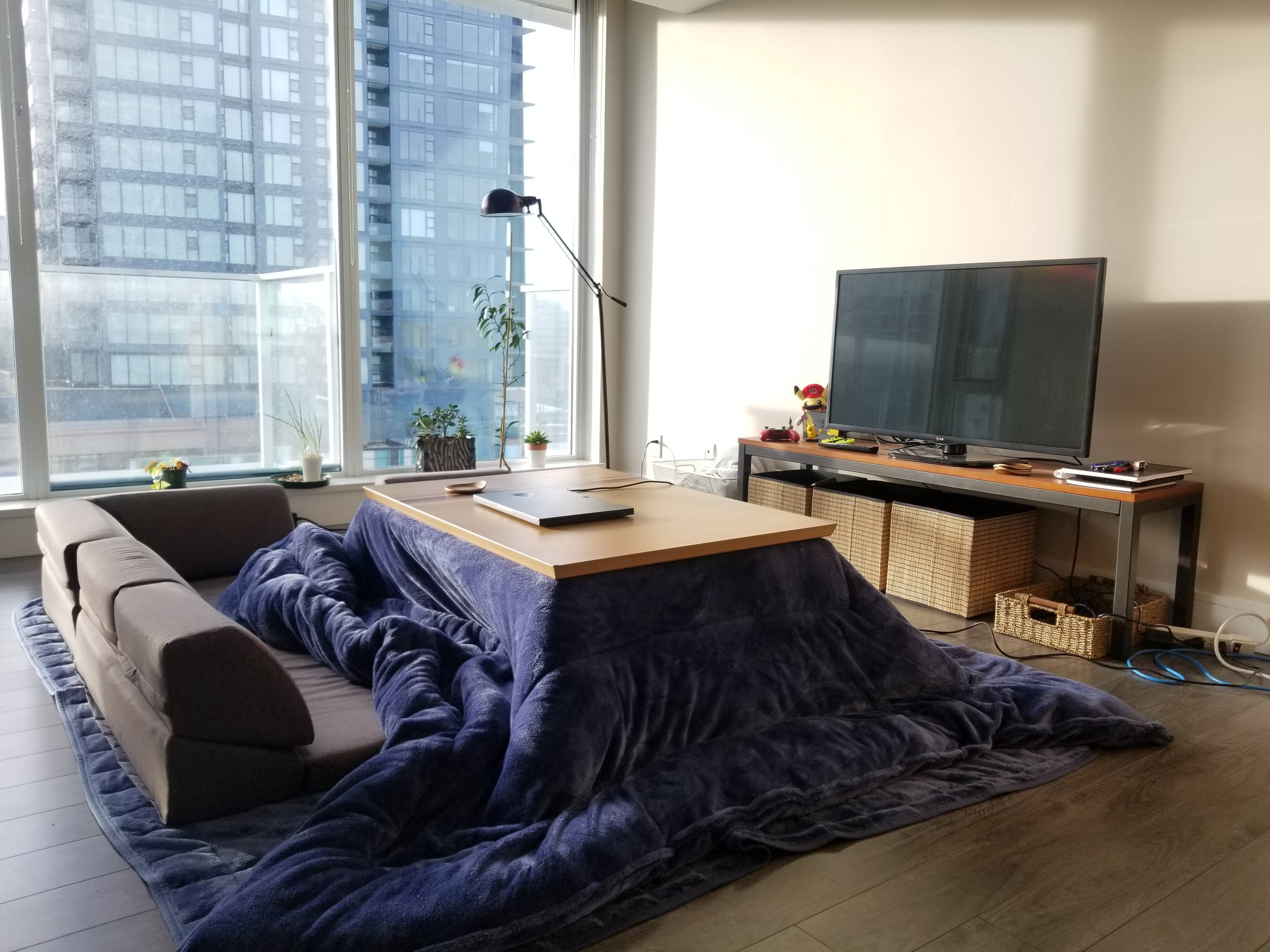 Before winter is over, here's my living room setup that kept me warm during our cold nights ...