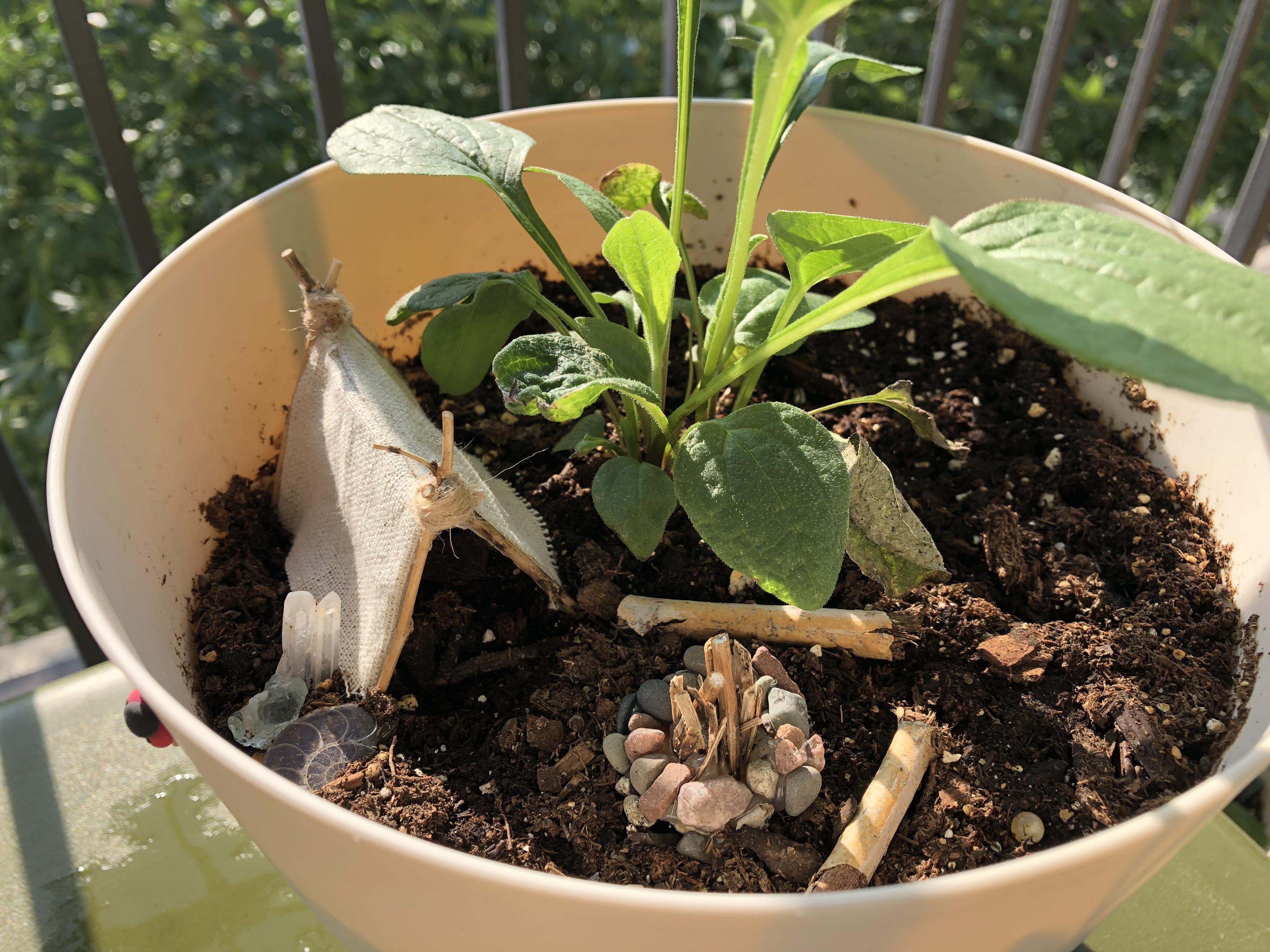 Beginners fairy campground lol :) | Scrolller