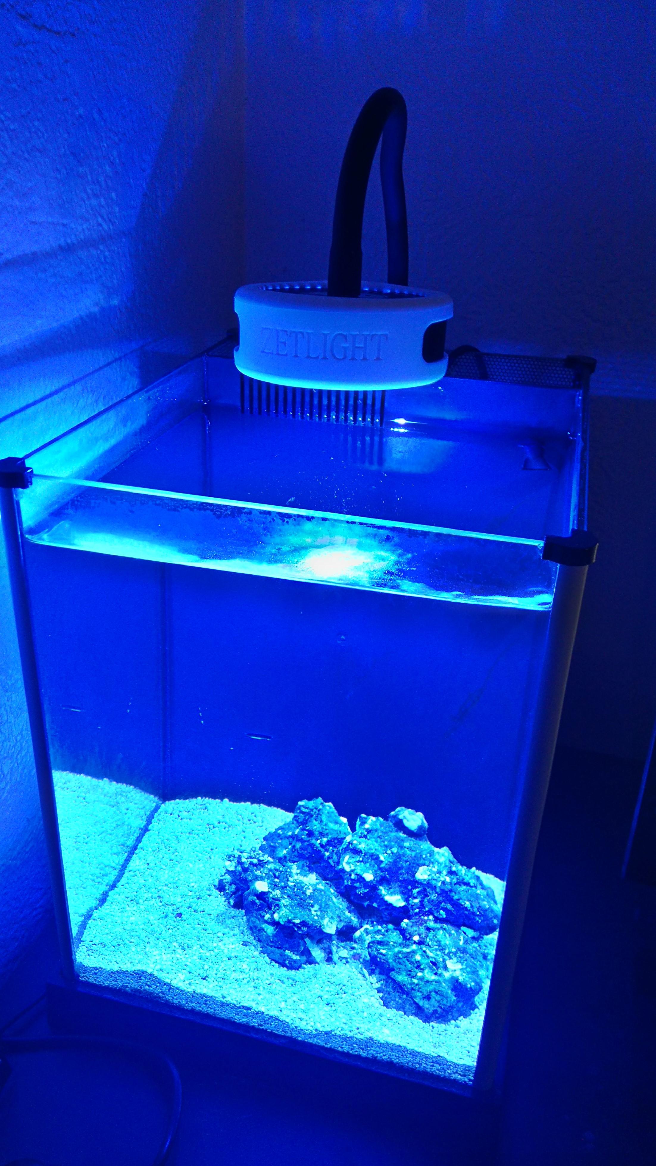 Beginning my fluval spec 3 pico reef | Scrolller