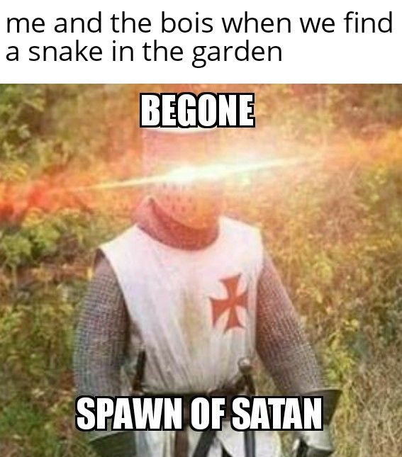 Begone with thy silver-tongued trickery, serpent! | Scrolller