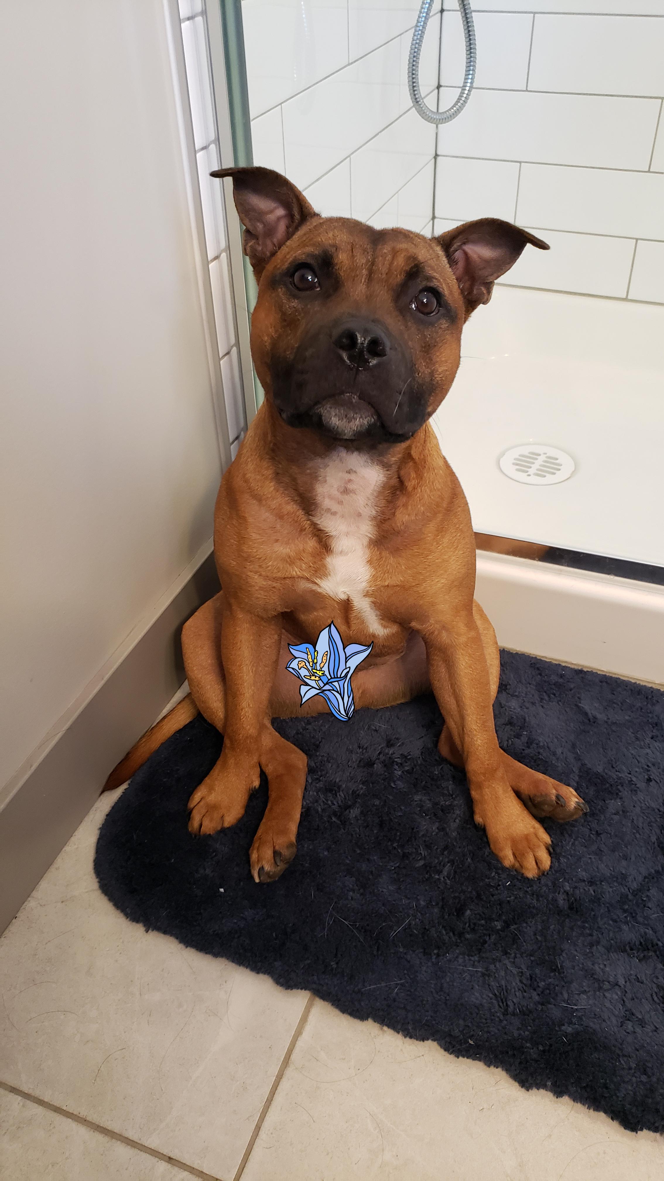 Behold the terrifying beast! | Scrolller