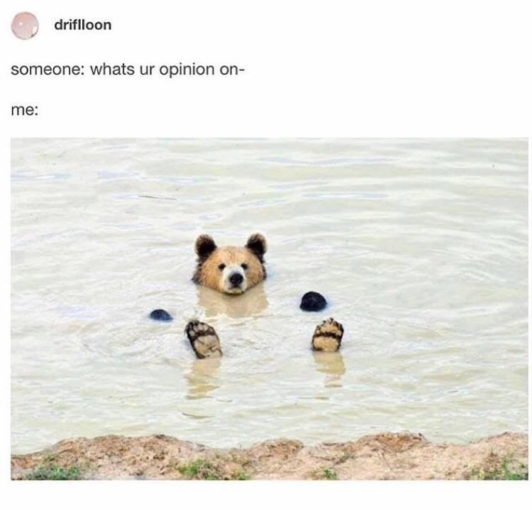 being a 9... | Scrolller