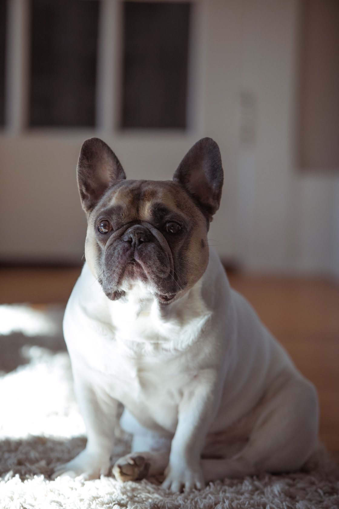 Best Boi just turned 10 years old | Scrolller