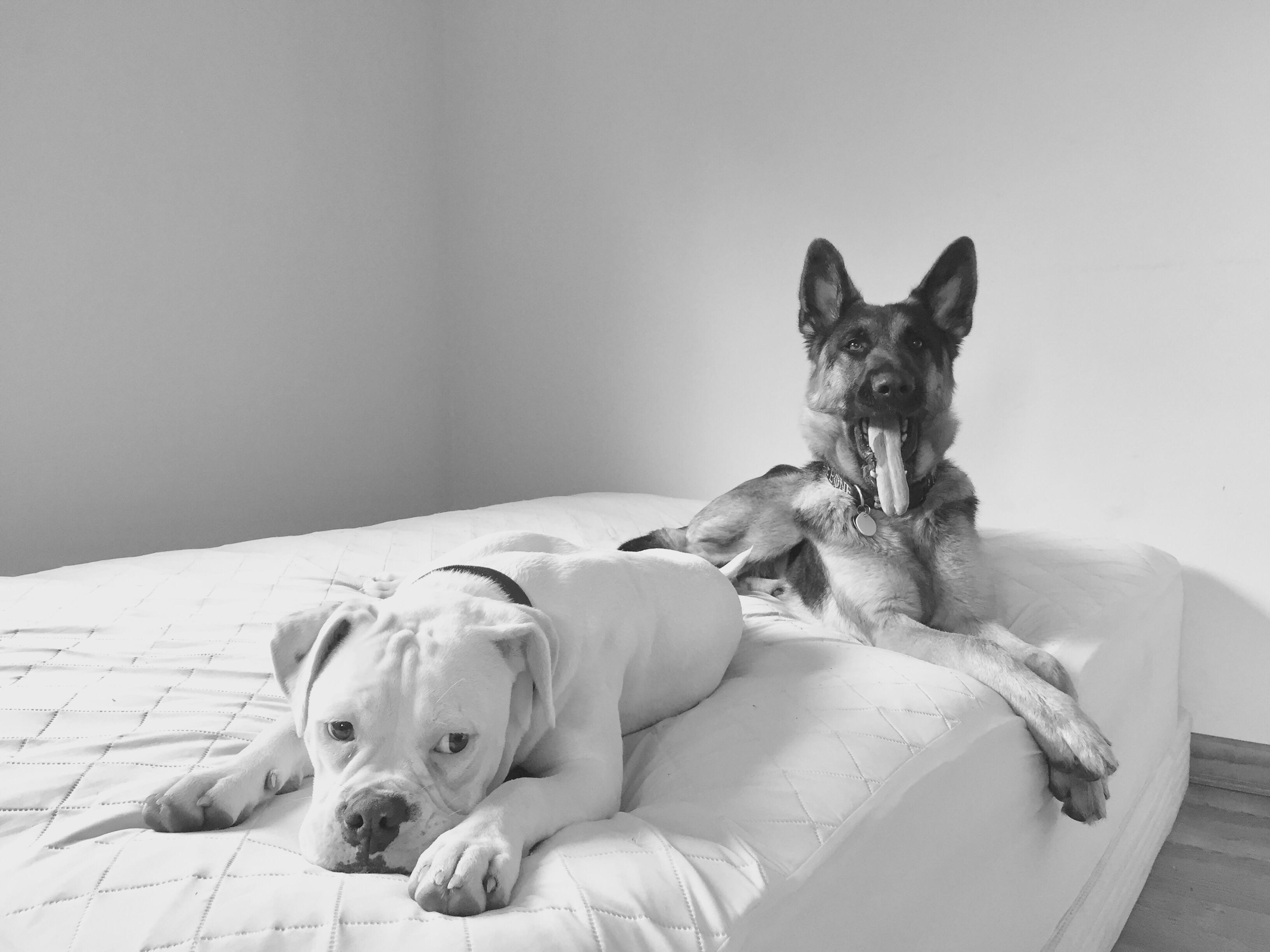 Best buds! | Scrolller