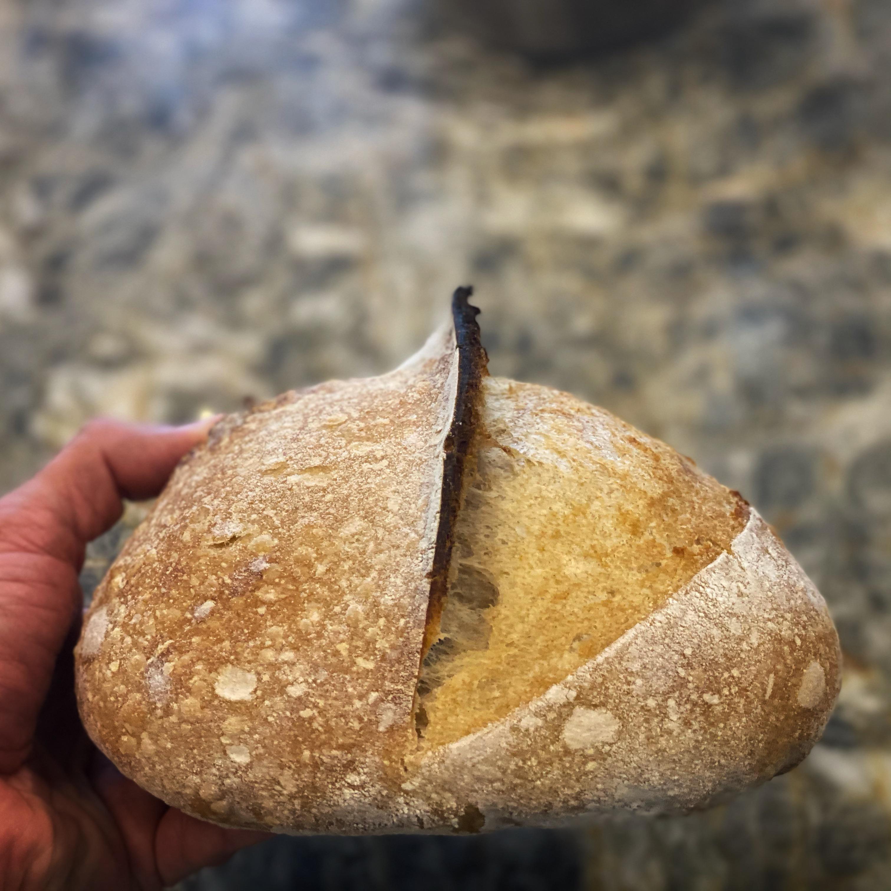 Best ear yet, it’s like a shark fin on the loaf! | Scrolller