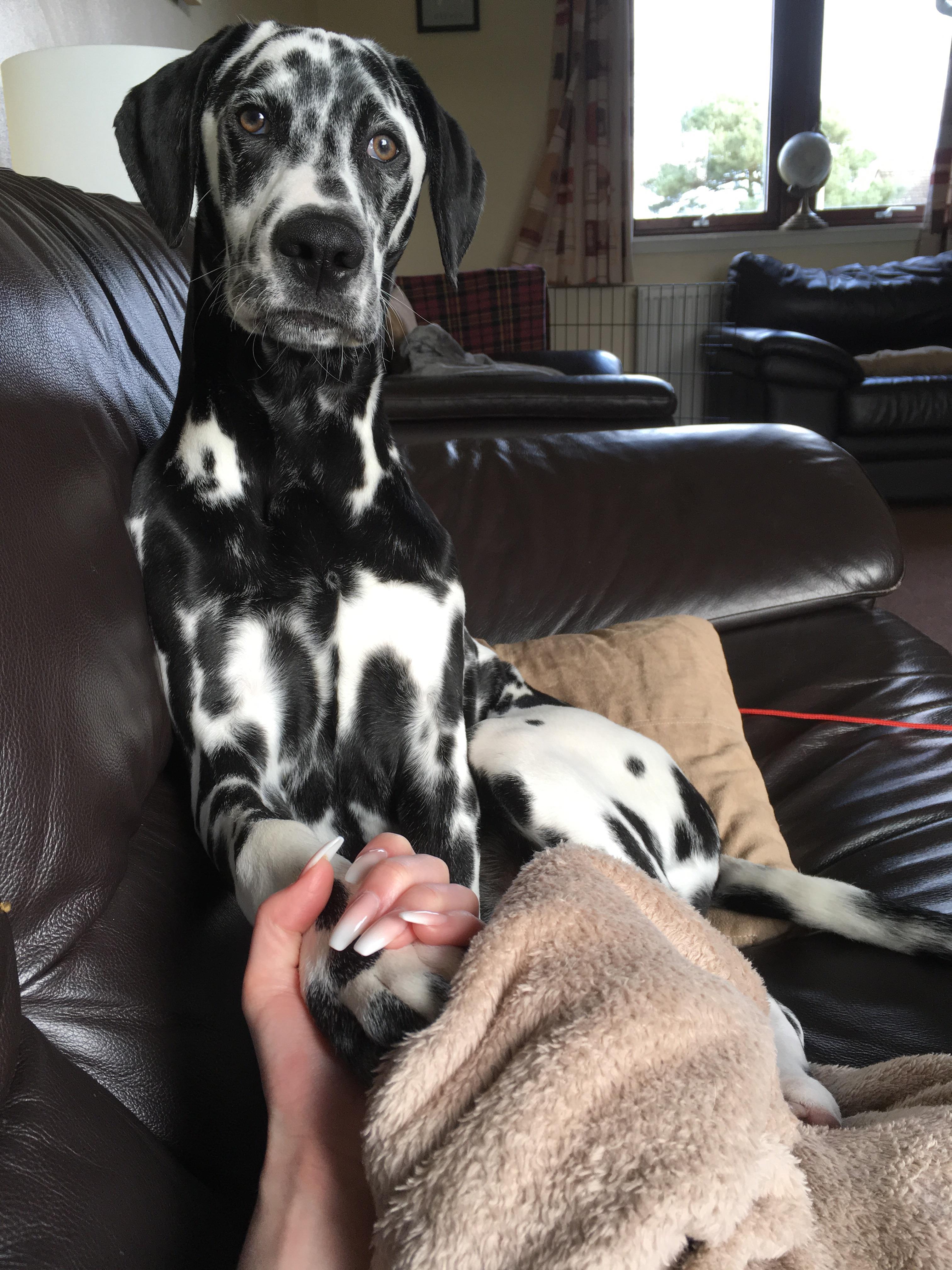 Best friends forever | Scrolller