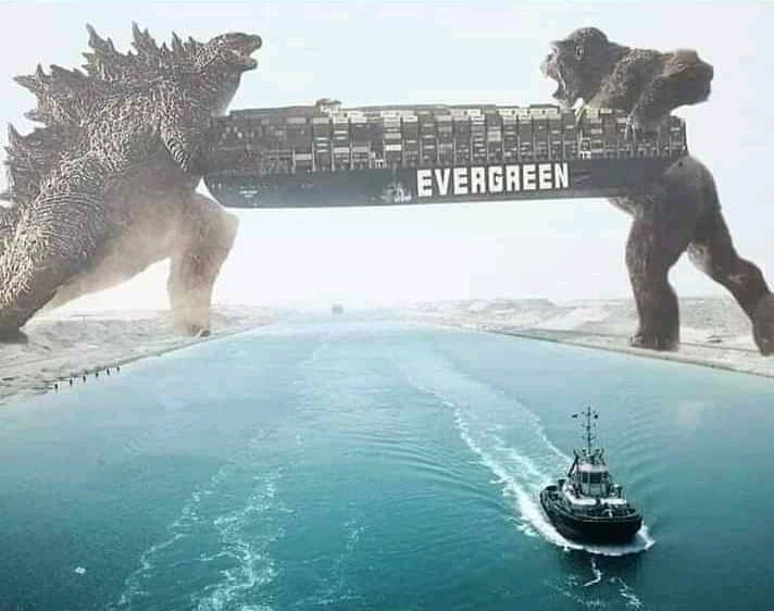 Best solution | Scrolller