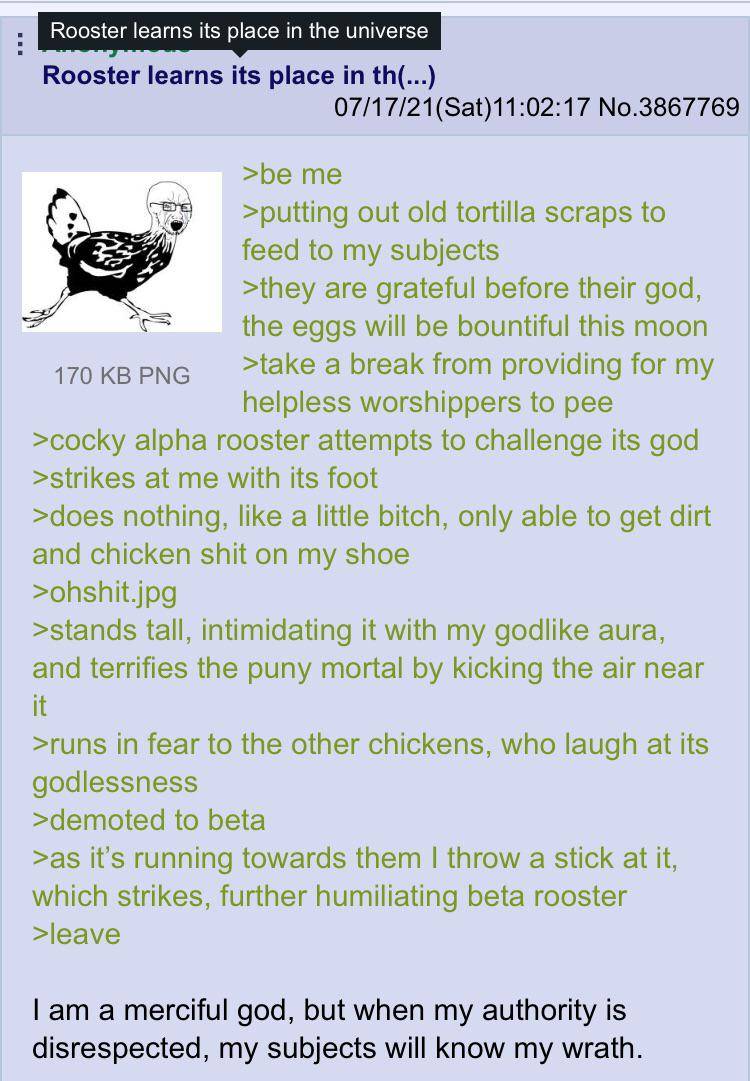 beta rooster | Scrolller