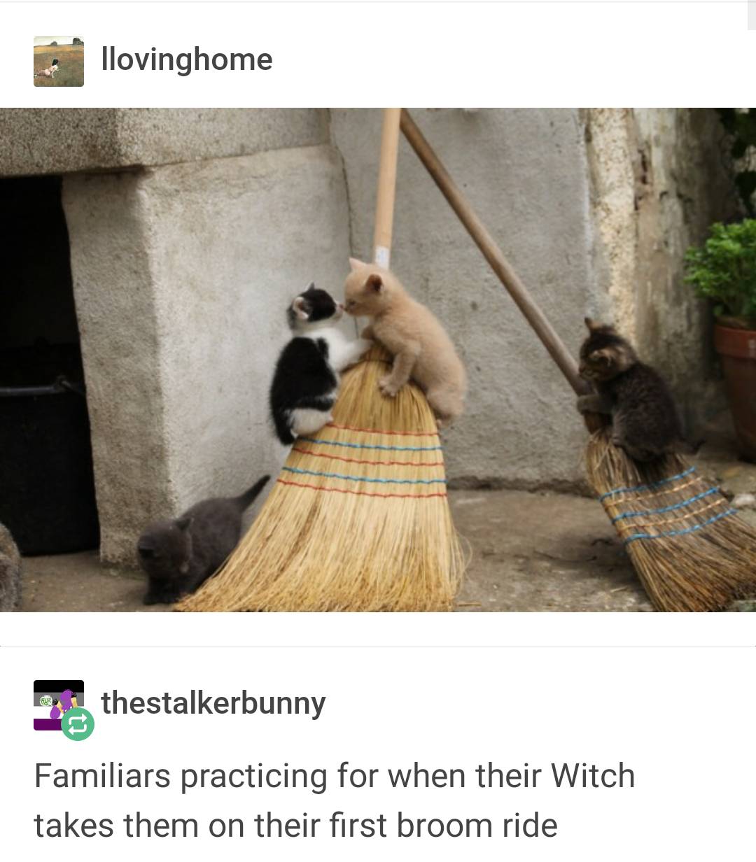 Better get ready for that new Nimbus 5000! | Scrolller