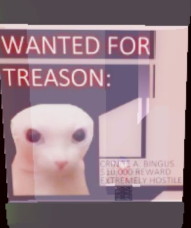 Beware of Bingus | Scrolller