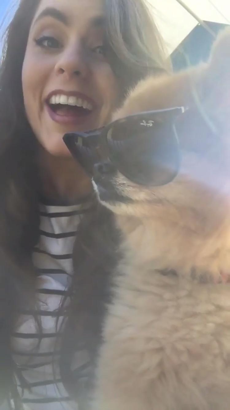 Big Baller Chico | Scrolller