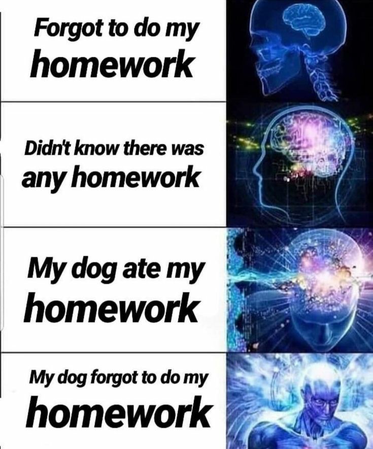 Big brain time | Scrolller