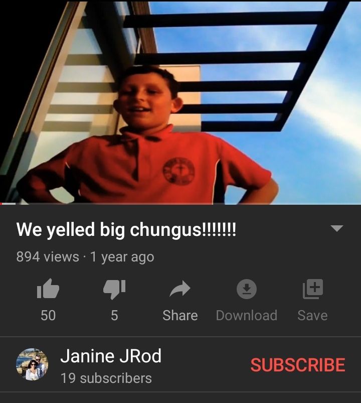 Big chungus | Scrolller