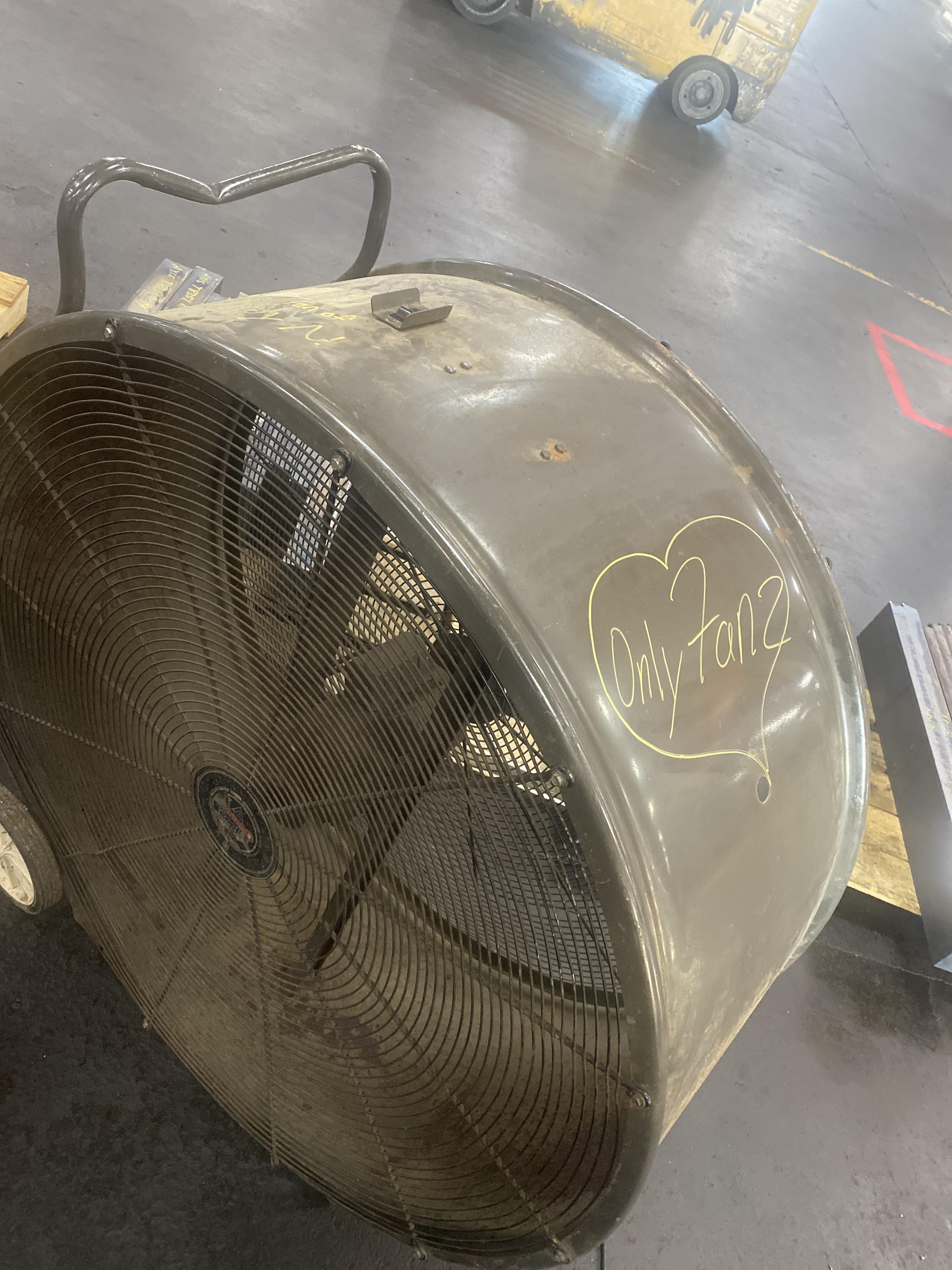 Big fan of the r/OnlyFans sub | Scrolller