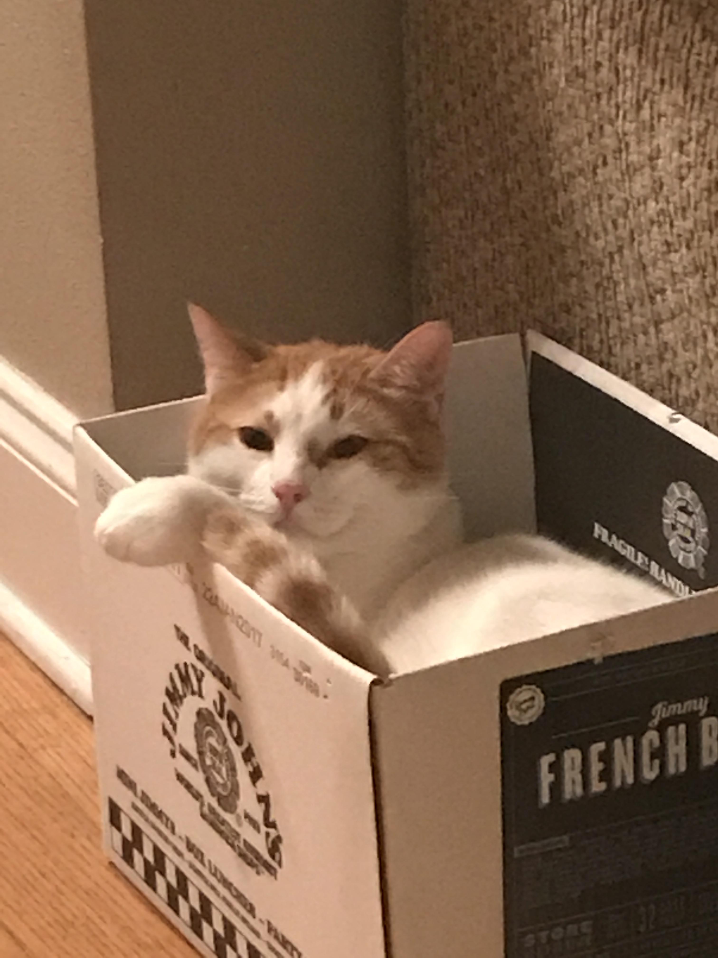 Big loaf inside of a bread box | Scrolller