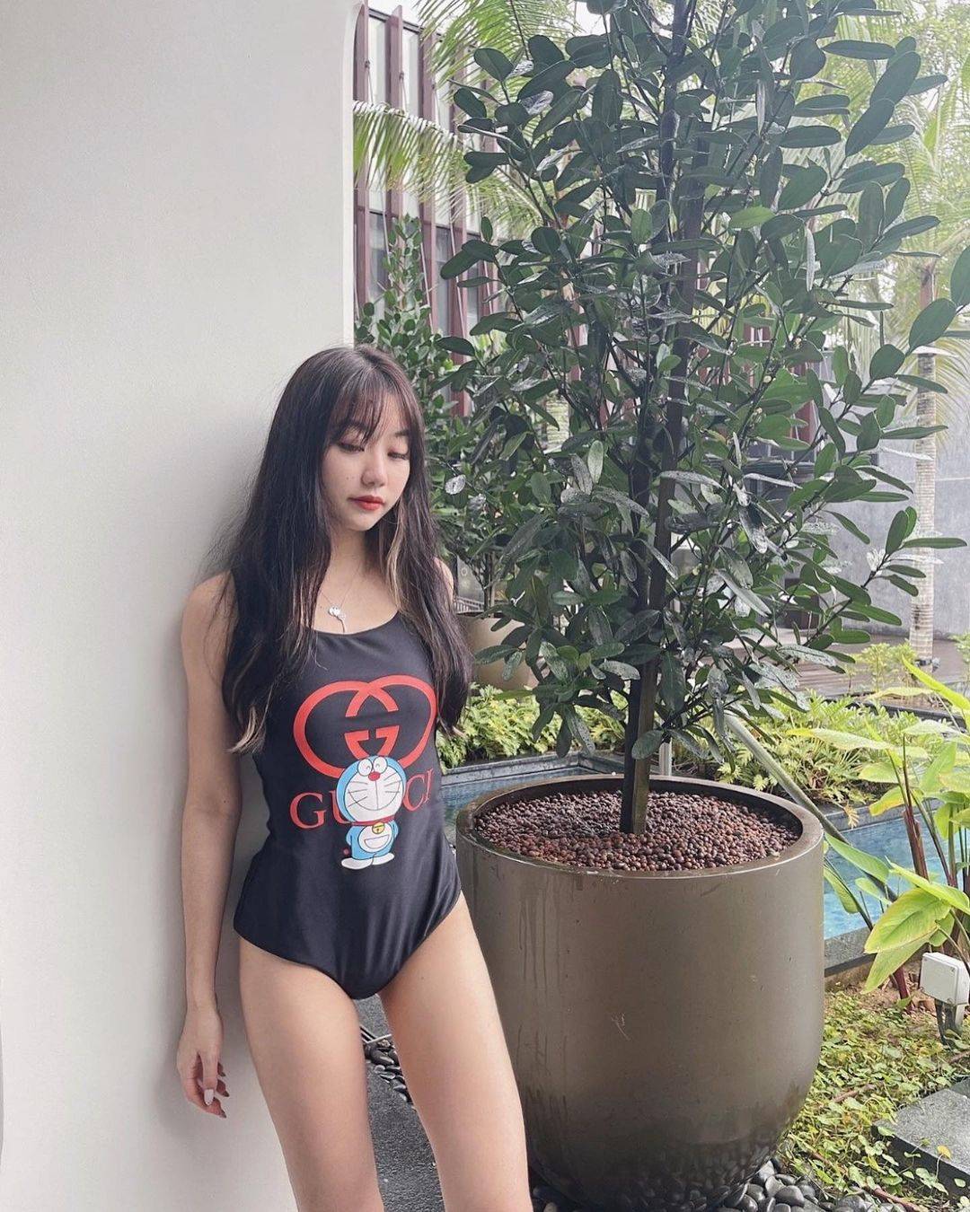 Big pot plant | Scrolller