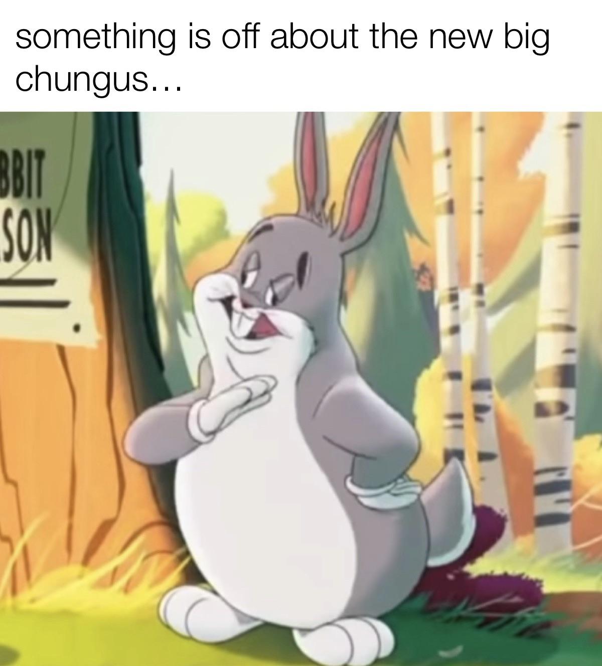 big special chungus | Scrolller
