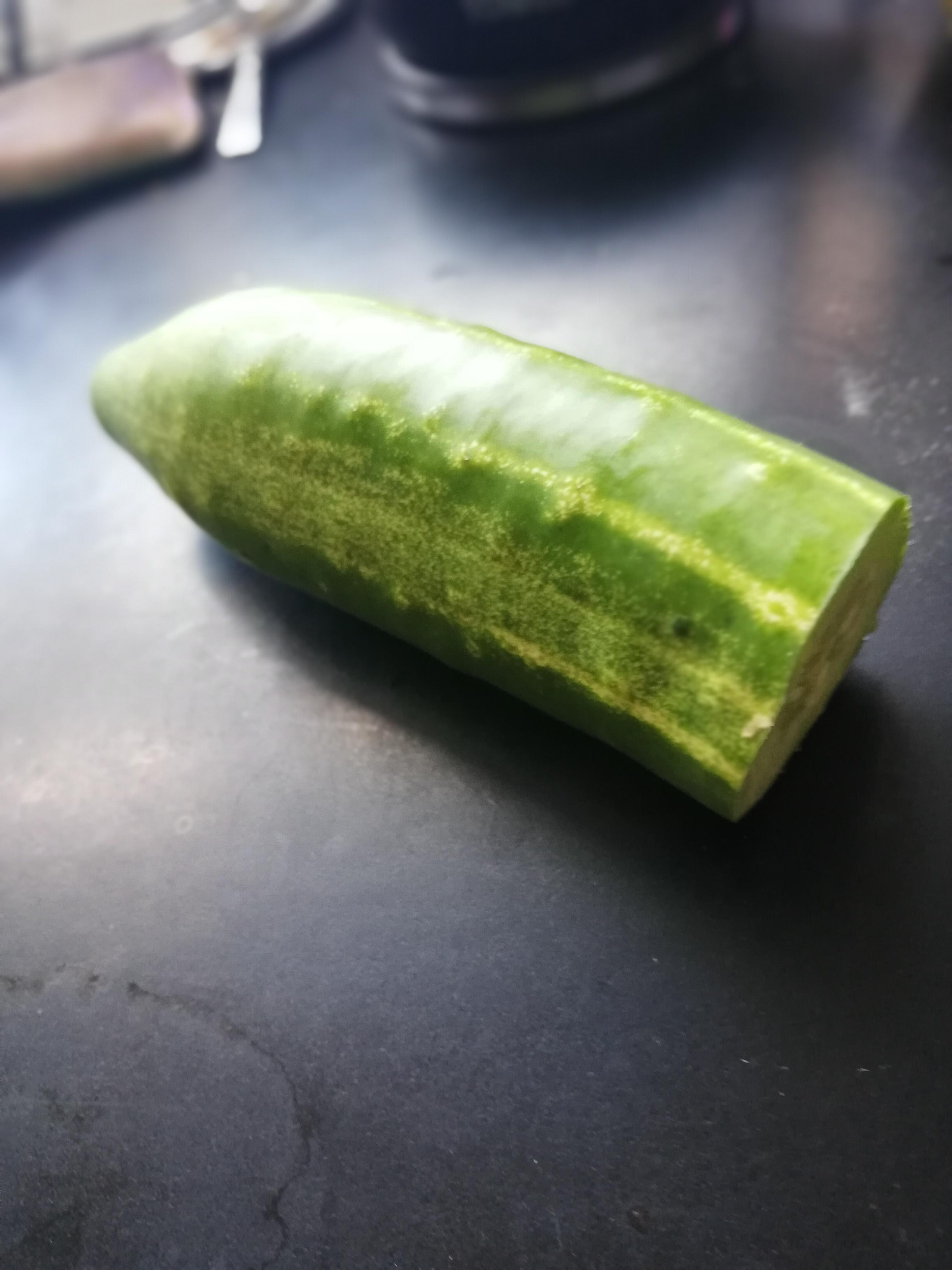 Biggest cucumber yet! This is almost half of the full size. | Scrolller