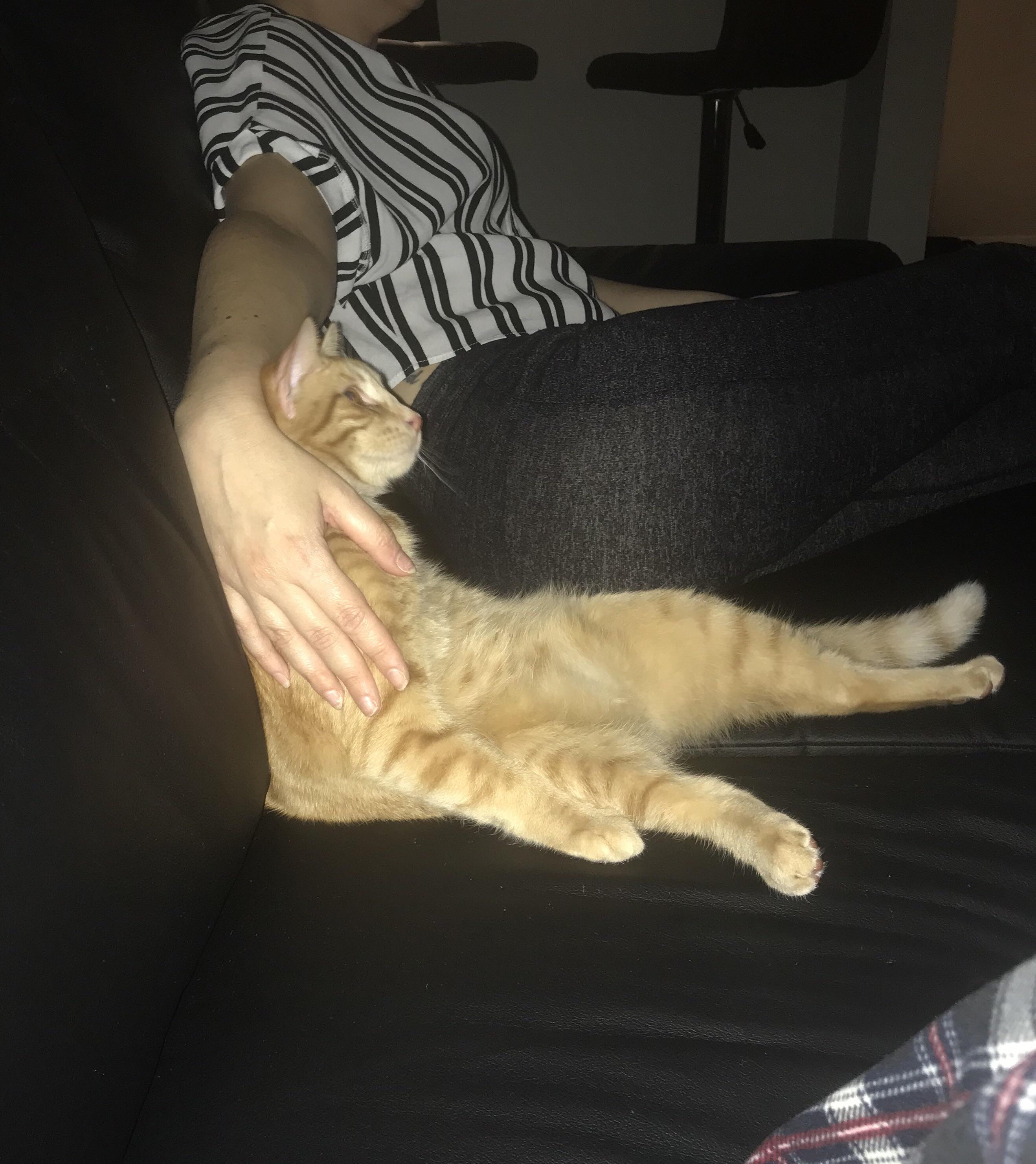 Binge watching | Scrolller