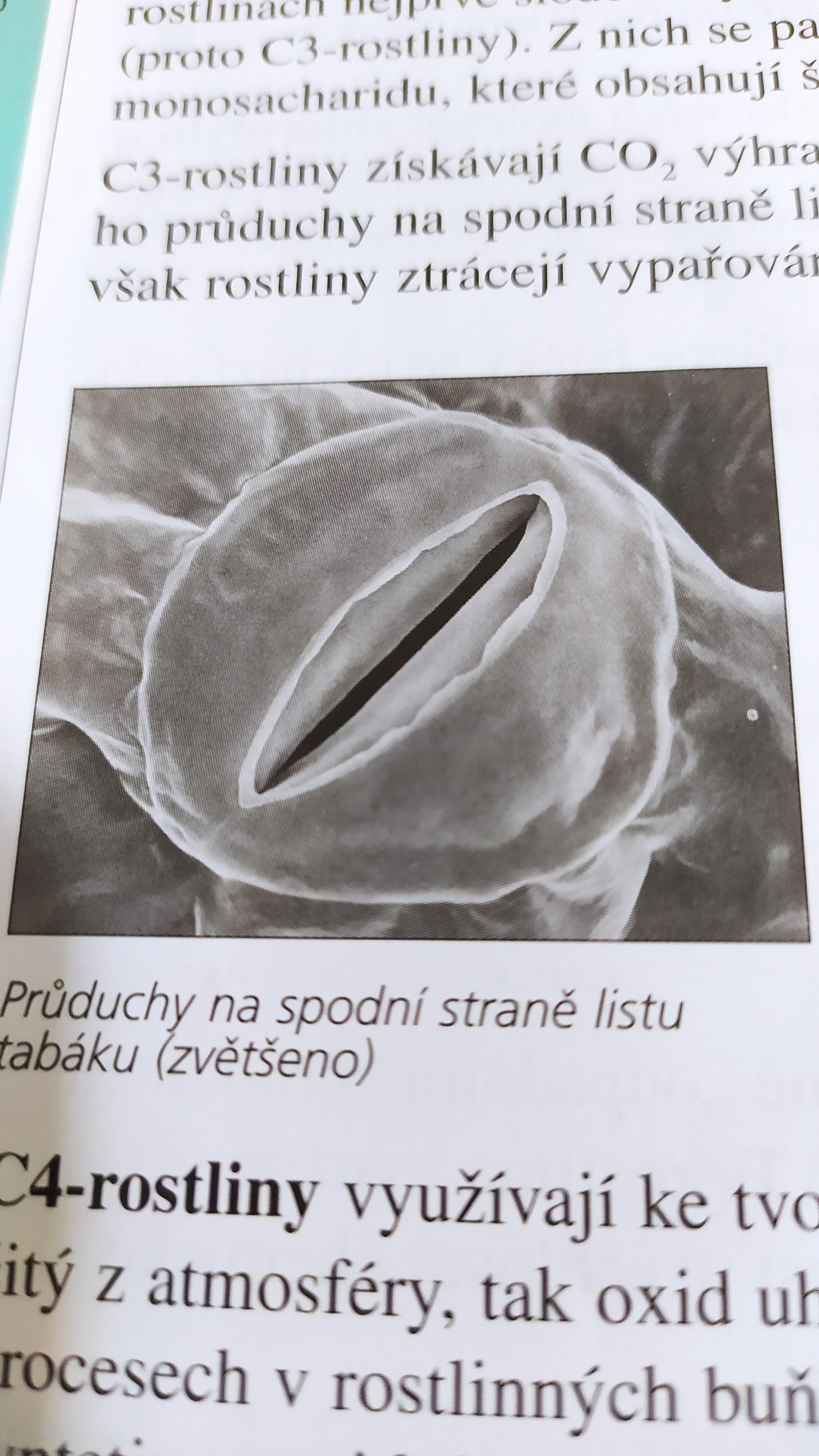 biology textbook | Scrolller