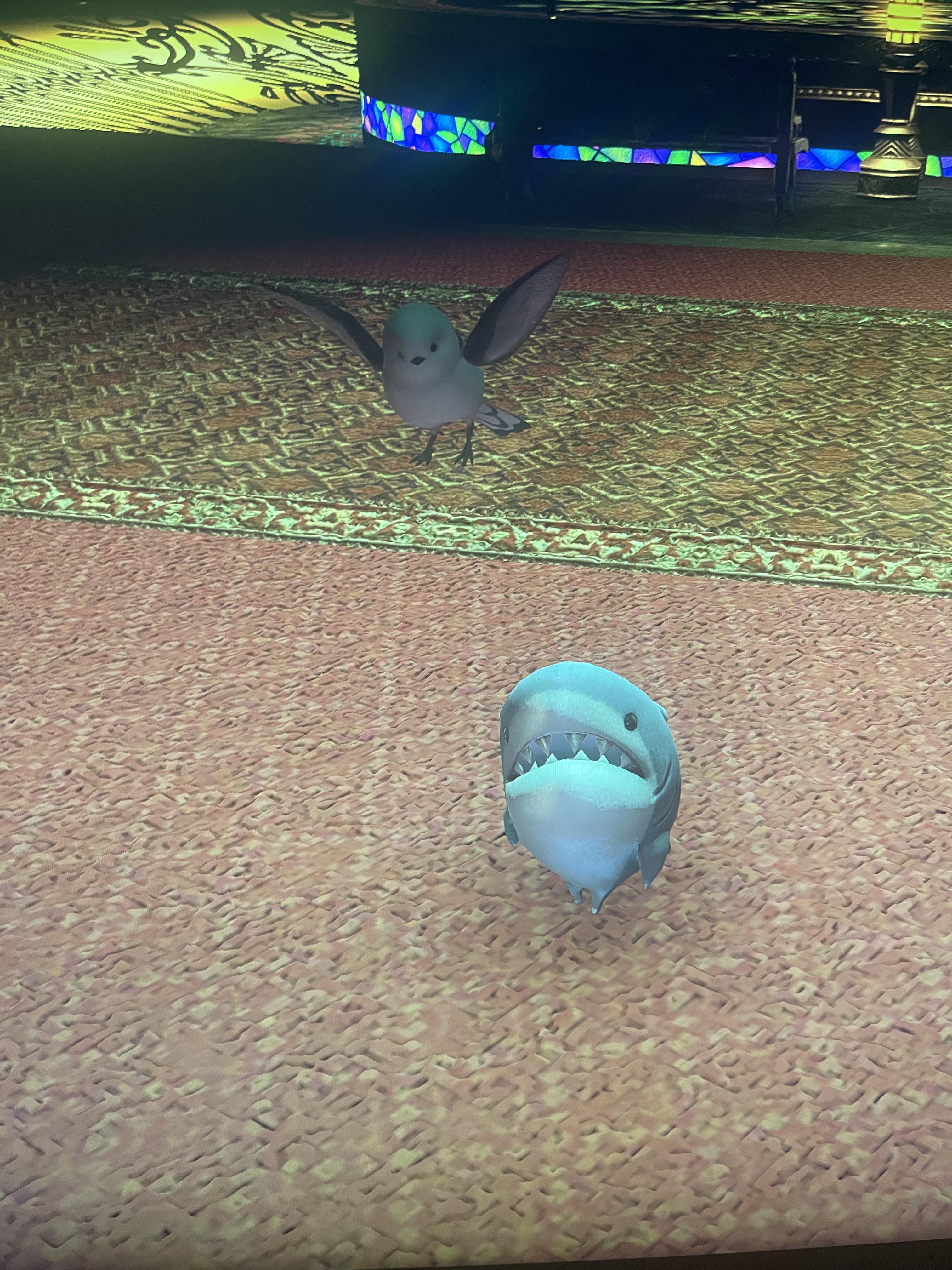 “bird” Scrolller