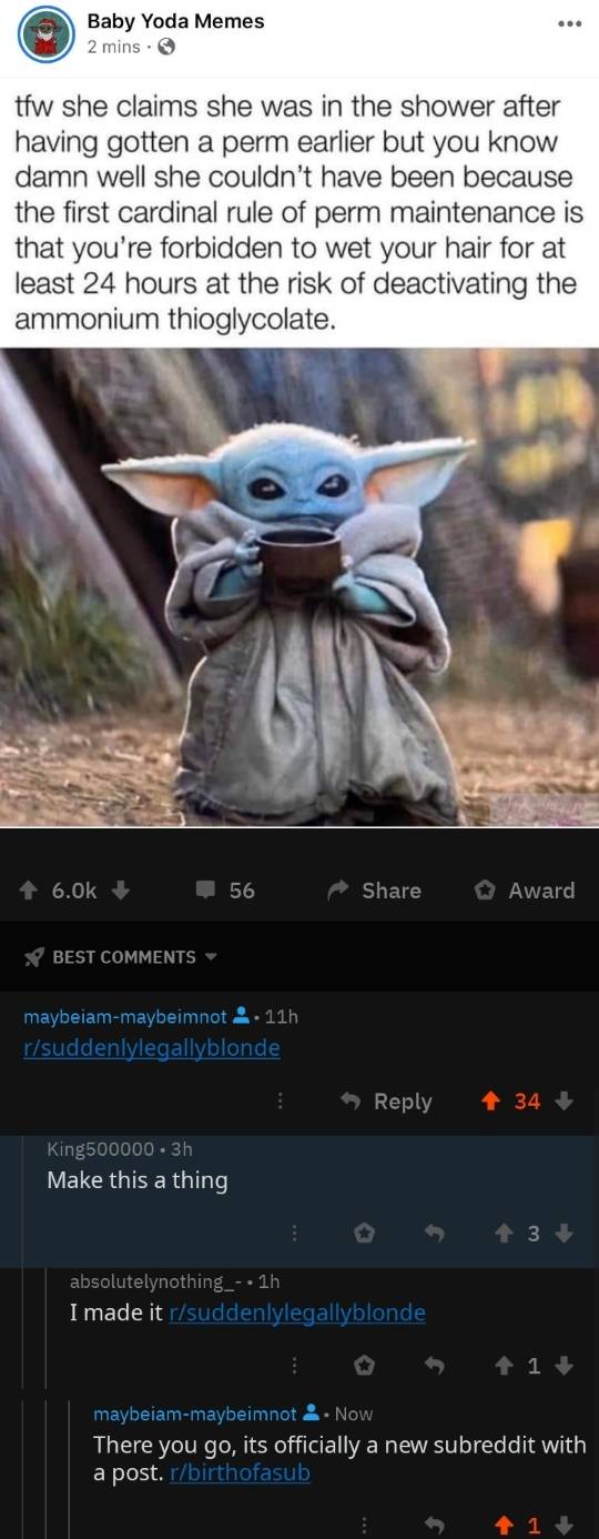 Birth of r/suddenlylegallyblonde | Scrolller