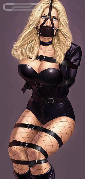 Black Canary Captured | Scrolller