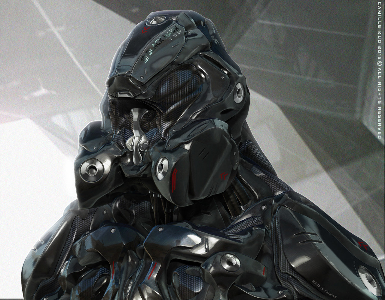 black hawk by Camille Kuo | Scrolller